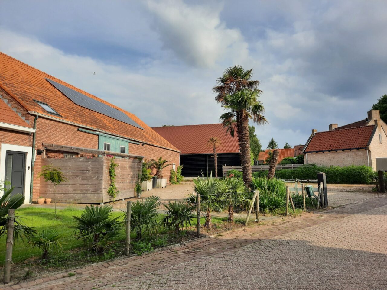 Tropical Dutch - Welkom Wolphaartsdijk